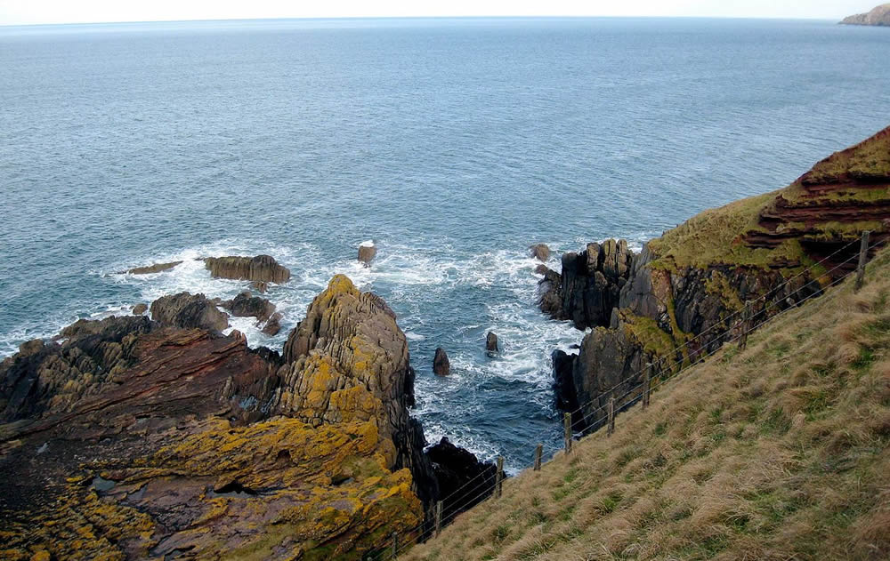Coldingham Countryside